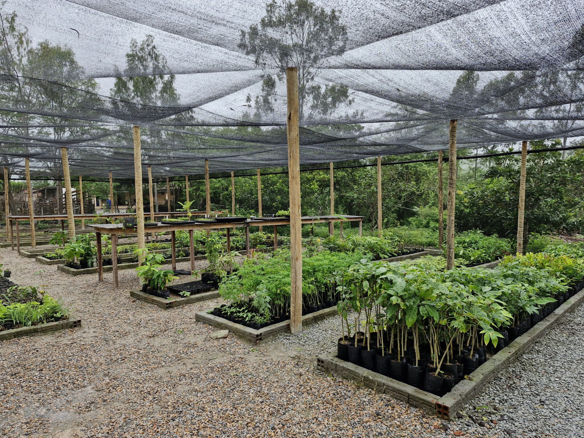 Governo de Pernambuco inaugura Viveiro Florestal no município de Jupi ...